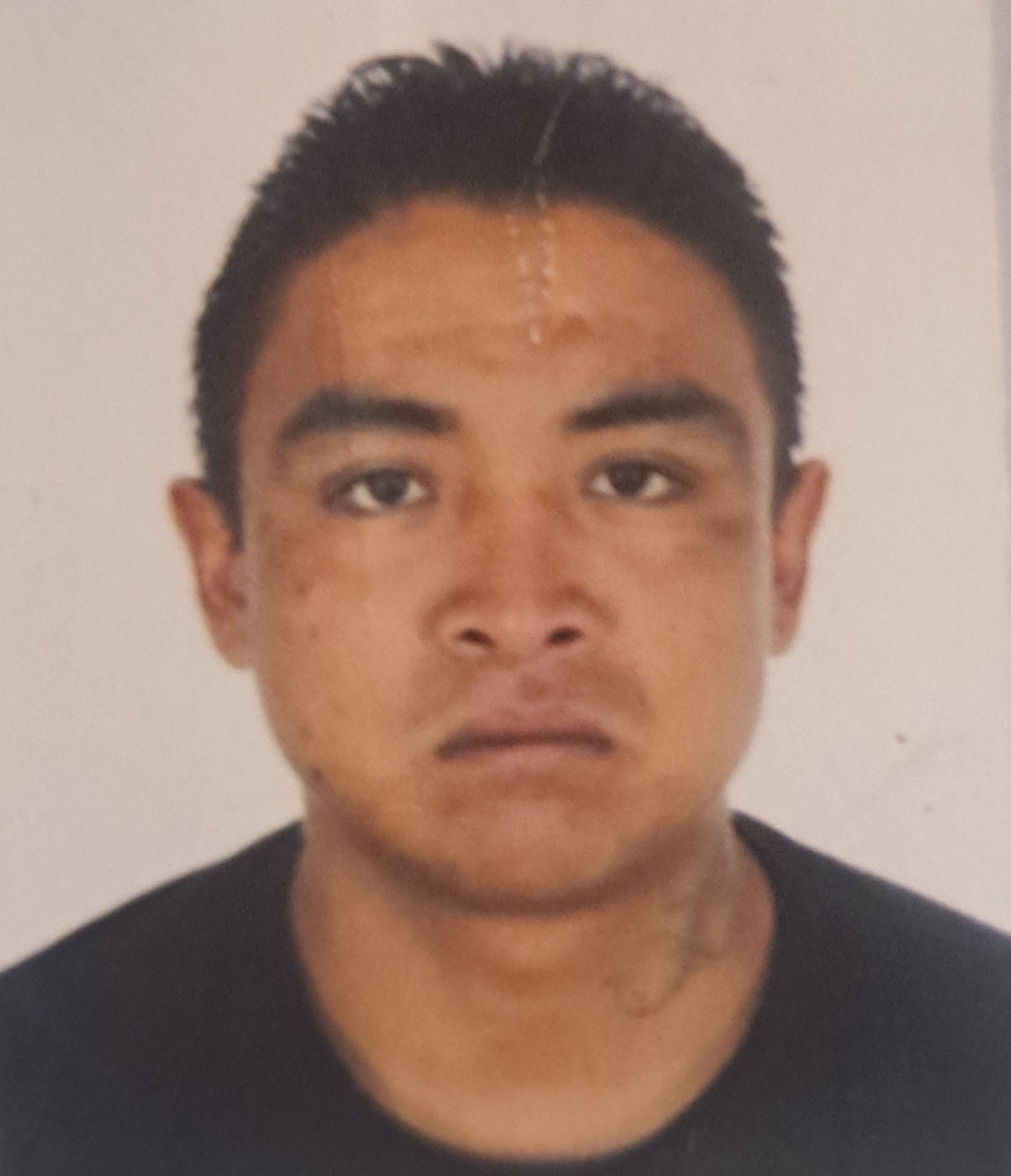 OMAR ALBERTO CRIOLLO MARTINEZ - Ayuntamiento de Cozumel